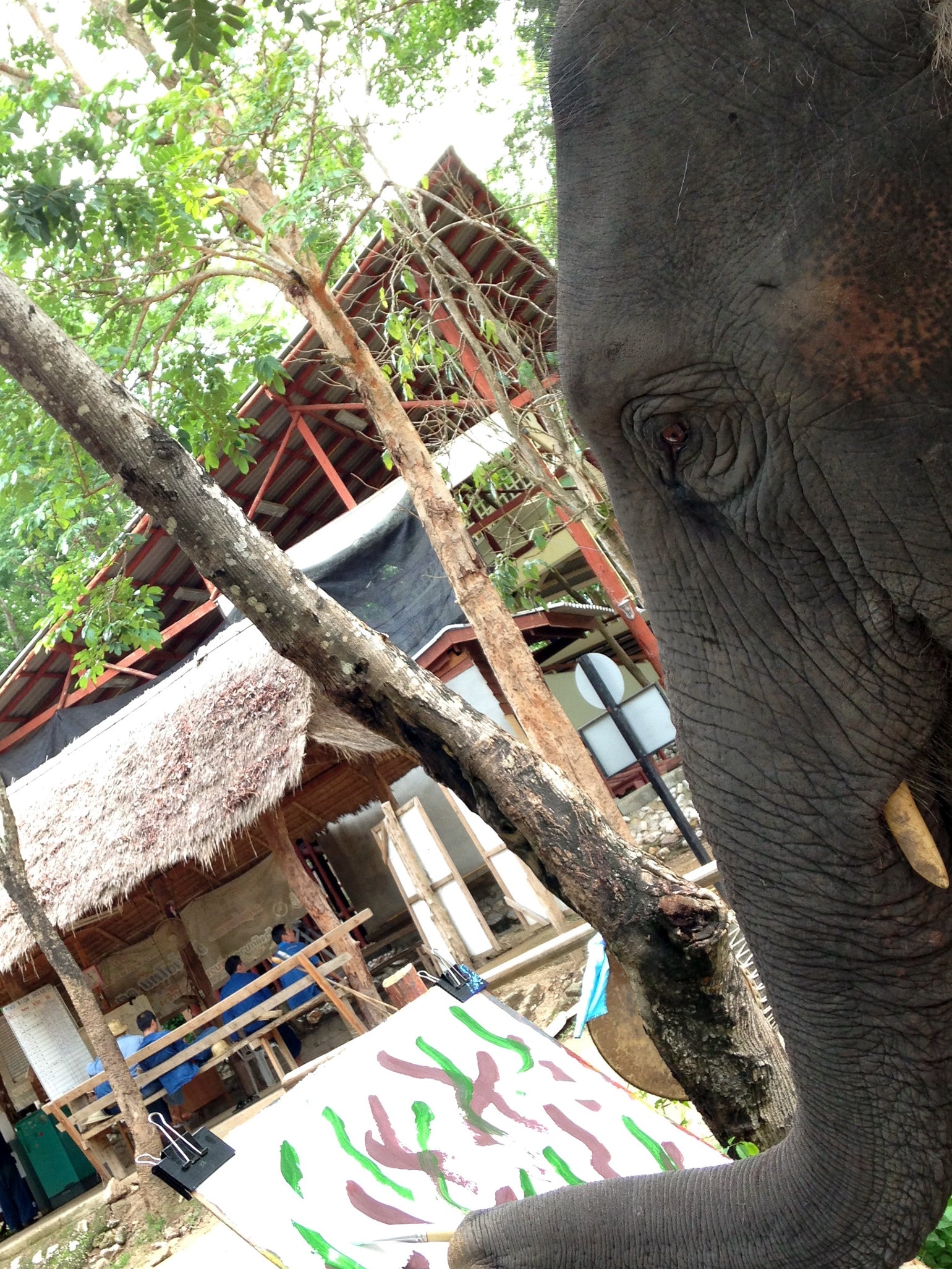 How Can I Spot a Fake Elephant Art? – Elephant Art Gallery
