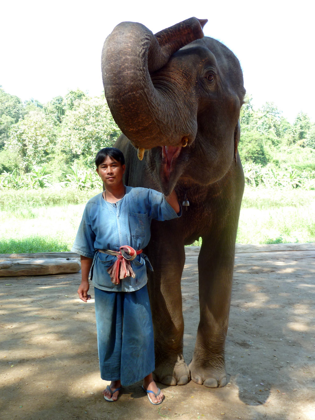 Elephant Pooparn – Elephant Art Gallery